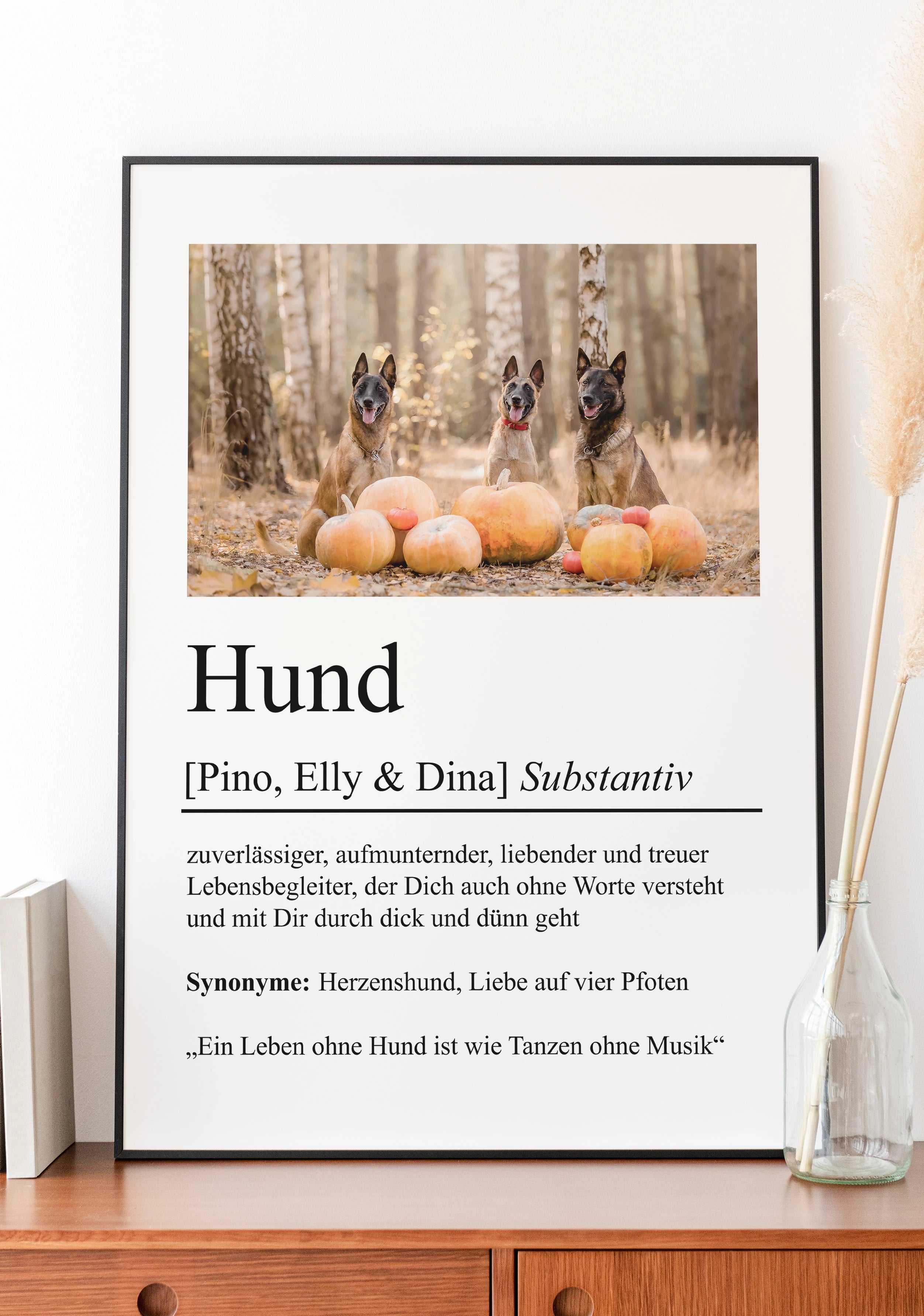 Definition mit Bild – posterfieber